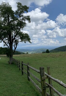 Rocky Hollow Horse Camp Reviews updated 2025