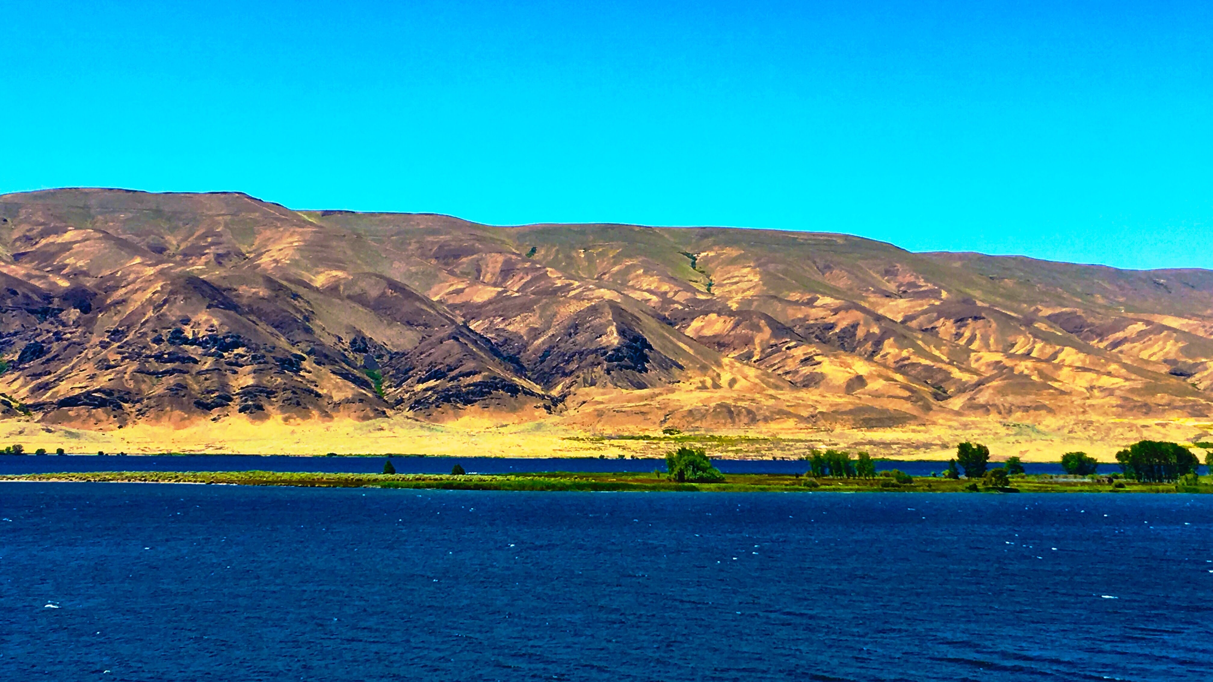 Priest Rapids Recreation Area Reviews updated 2025