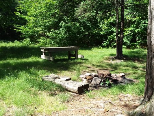 Shaggers Inn Camping Area Reviews updated 2025