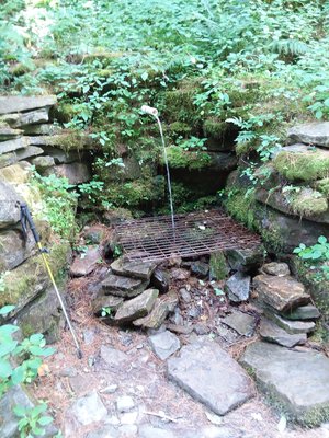 Hicks Run Camping Area Reviews updated 2022