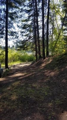 Bull Run Lake Dispersed Camping Reviews updated 2026