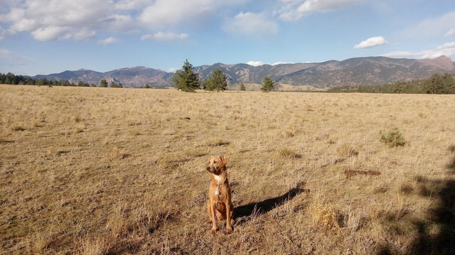 Badger Flats Dispersed Camping Reviews updated 2020