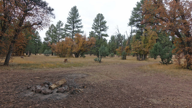 Dutch Kid Tank Dispersed Camping Reviews updated 2025