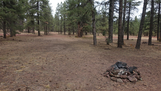 Hidden Tank updated 2022