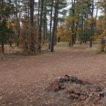 Arizona Free Camping: 378 Free Campsites in Arizona - Campendium