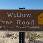 Willow Tree Reviews - Campendium