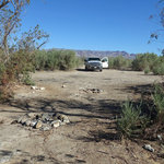 Willow Tree Reviews - Campendium