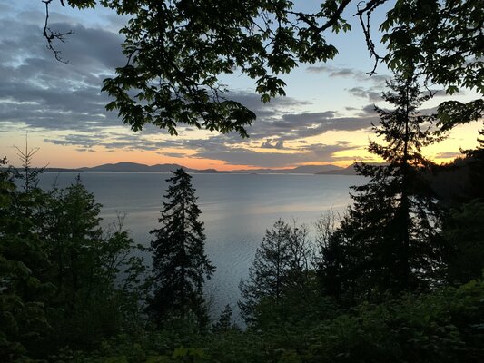 Chuckanut Drive Scenic Lookout Reviews updated 2026