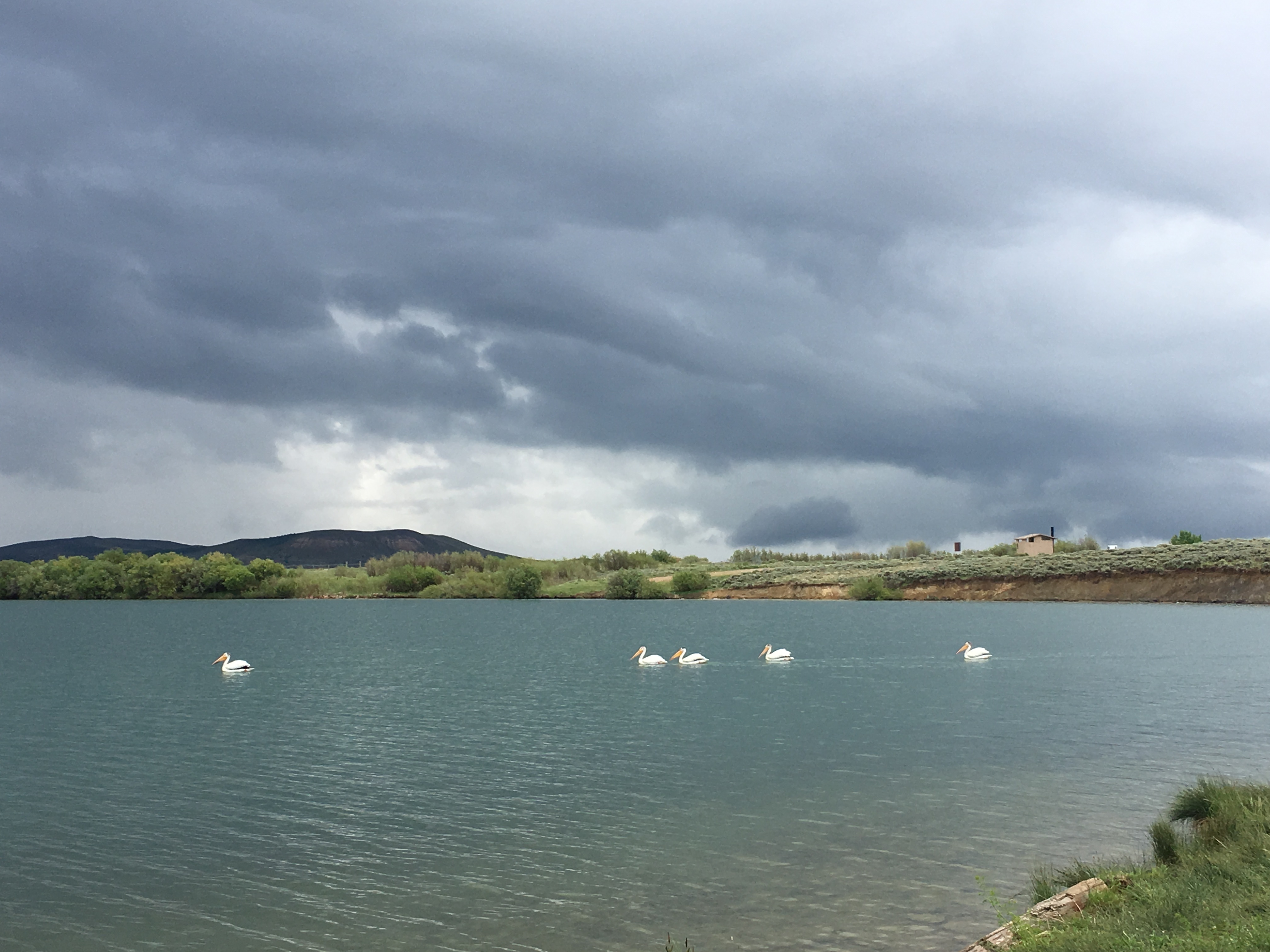 North Delaney Lake Designated Campsites 1 Reviews updated 2025