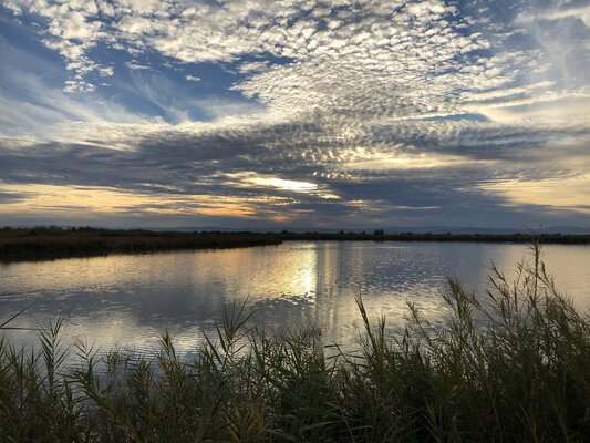 Finney Lake Reviews updated 2025