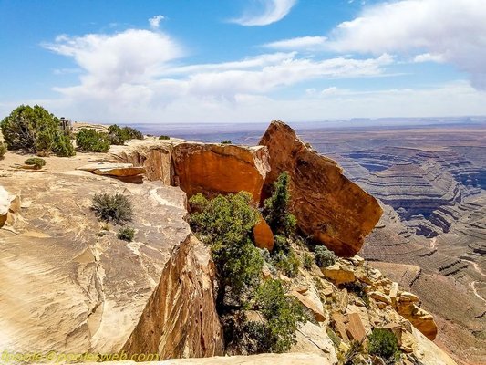 Muley Point Reviews updated 2020