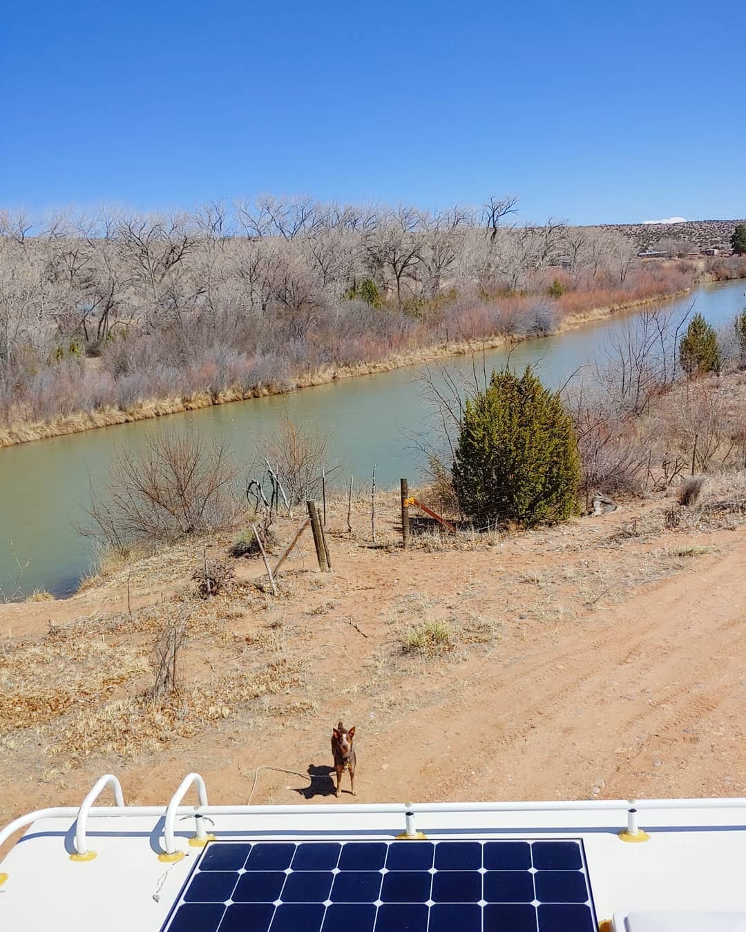 Rio Chama Dispersed Camping Reviews updated 2025