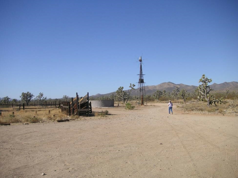 Wee Thump Road Dispersed Camping Reviews updated 2026
