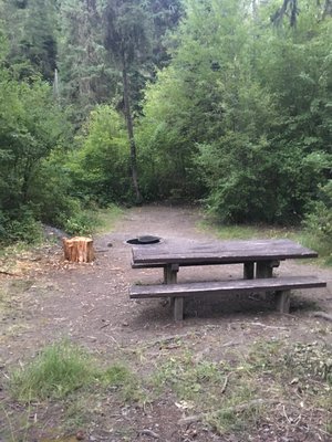 Black Bear Campground Reviews updated 2025