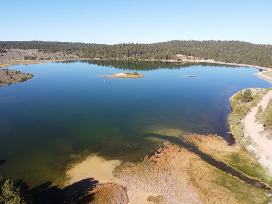 Pine Lake Campground Reviews updated 2025