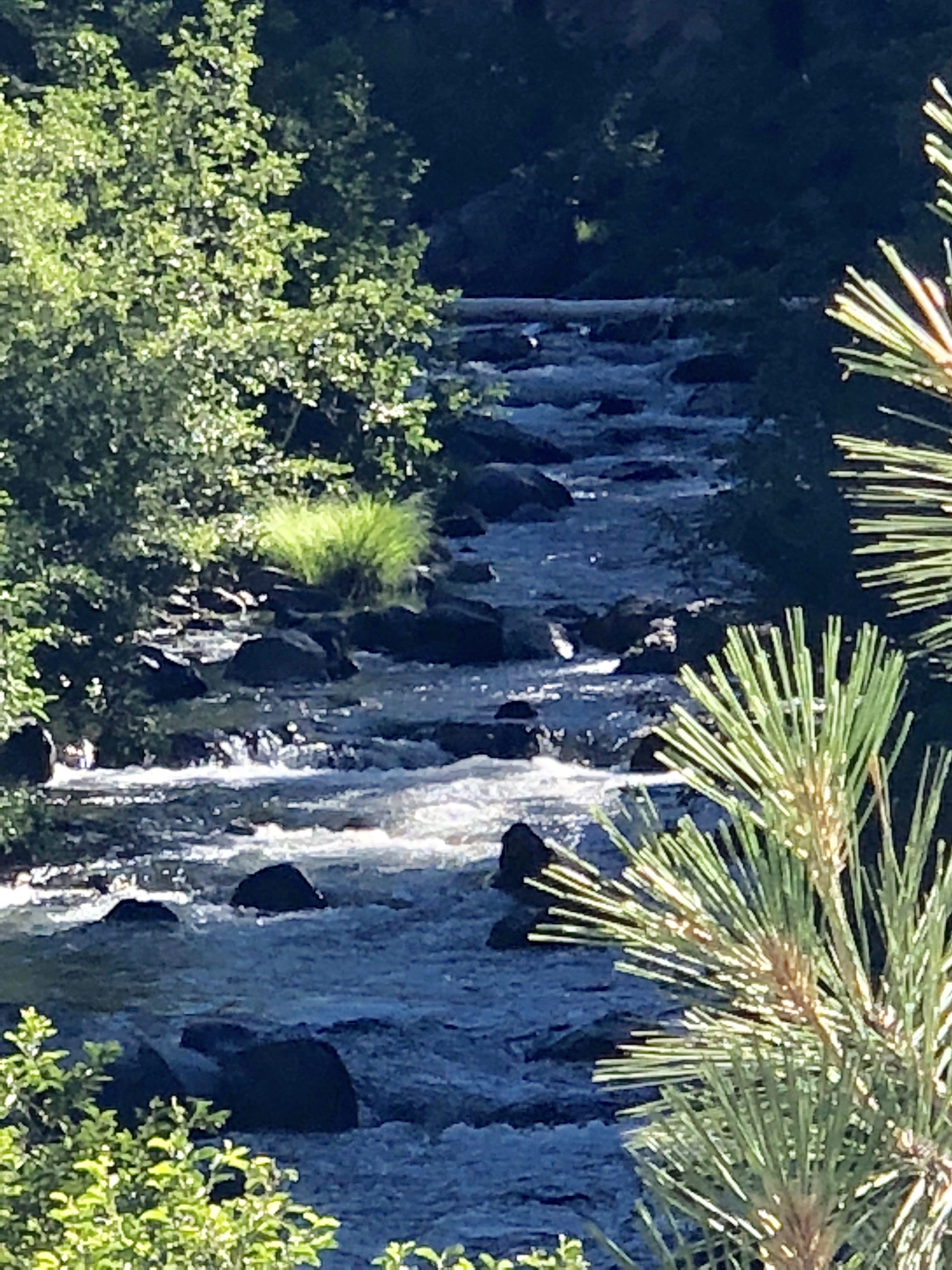 High Bridge Campground Reviews updated 2026