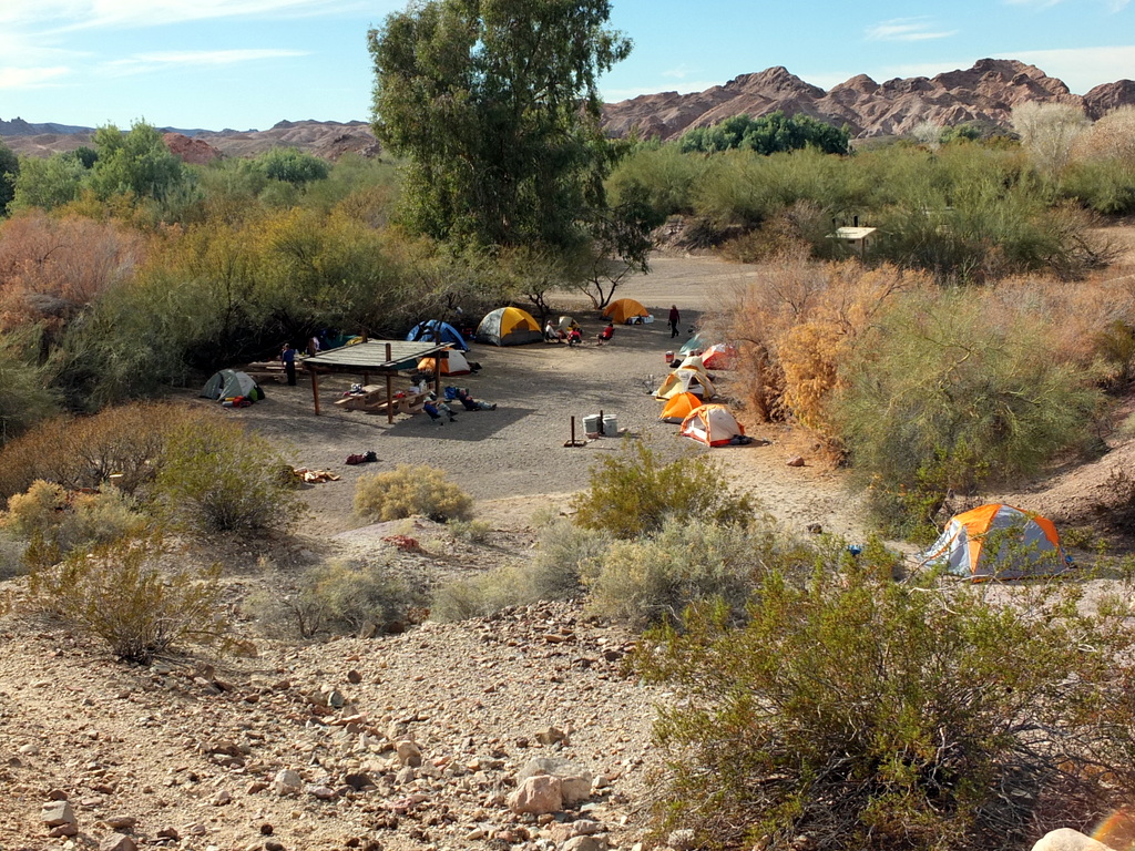 Picacho State Recreation Area Reviews updated 2026