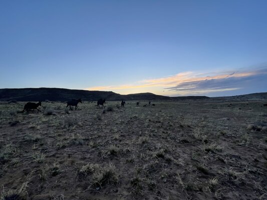 Courthouse Rock Campground Reviews updated 2023