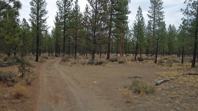 Three Creeks Lake Road Reviews updated 2026