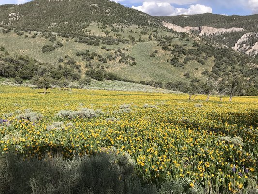 Eagle Valley Resort Reviews updated 2020