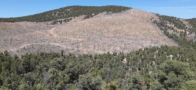 Eagle Valley Resort Reviews & Reservations updated 2025