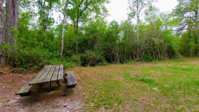 Bus Stop Campsite 22 updated 2026