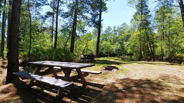 New River Campsite 13 updated 2025