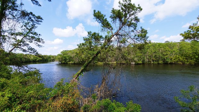 Womack Creek Campground Sites 29-40 Reviews updated 2020