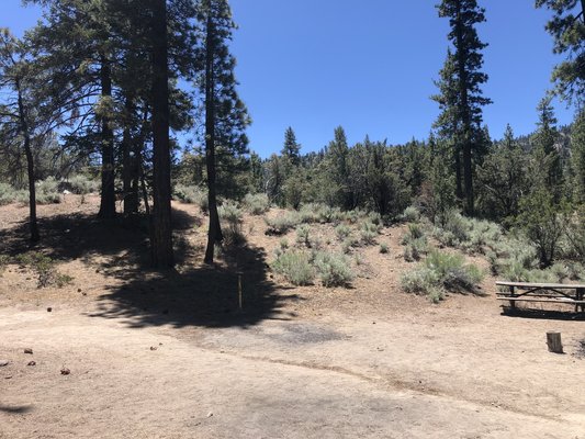 Coon Creek Yellow Post Sites Reviews updated 2020