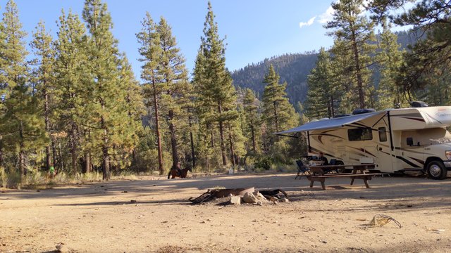 Coon Creek Yellow Post Campsites Reviews updated 2025
