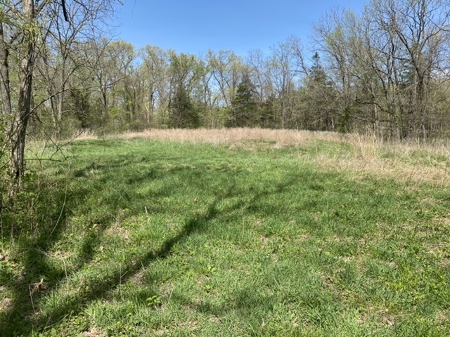 Huckleberry Ridge Campsite #5 Reviews updated 2025