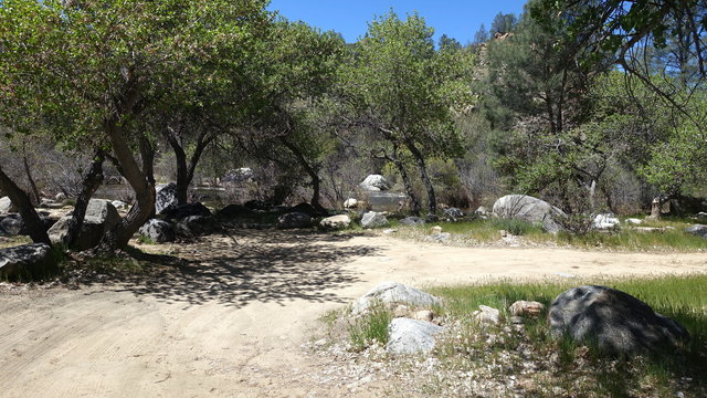 Old Gold Ledge Recreation Site Reviews updated 2026