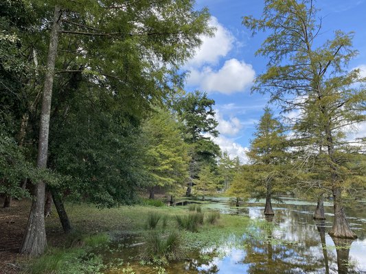 Paradise Ranch & Resort Reviews & Reservations updated 2022