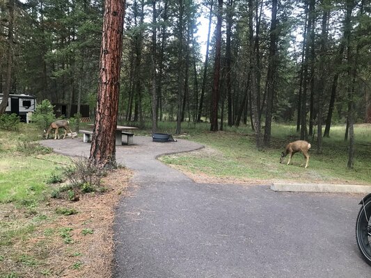 Rexford Bench Campground Reviews updated 2022