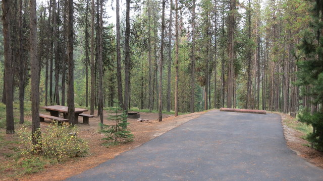 Lee Creek Campground Reviews updated 2025