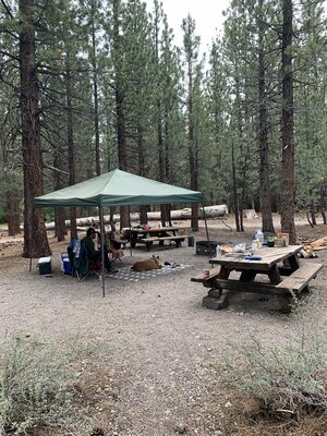 Upper Deadman Campground Reviews updated 2026