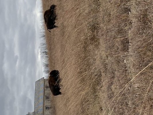 Chase State Fishing Lake Reviews