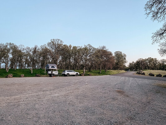 Perry Riffle Reviews updated 2025