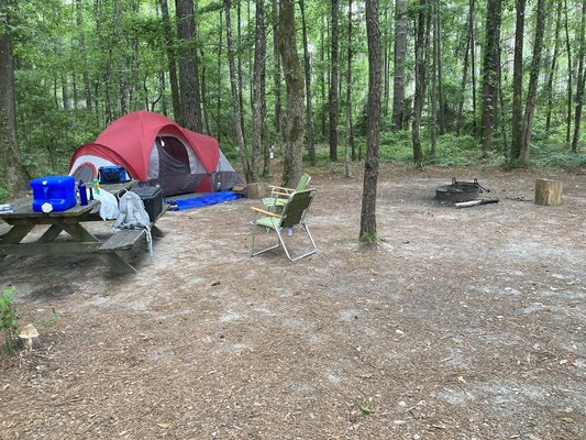 Longleaf Campground Reviews updated 2025