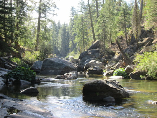 Gray Rock Camping Area Reviews updated 2020