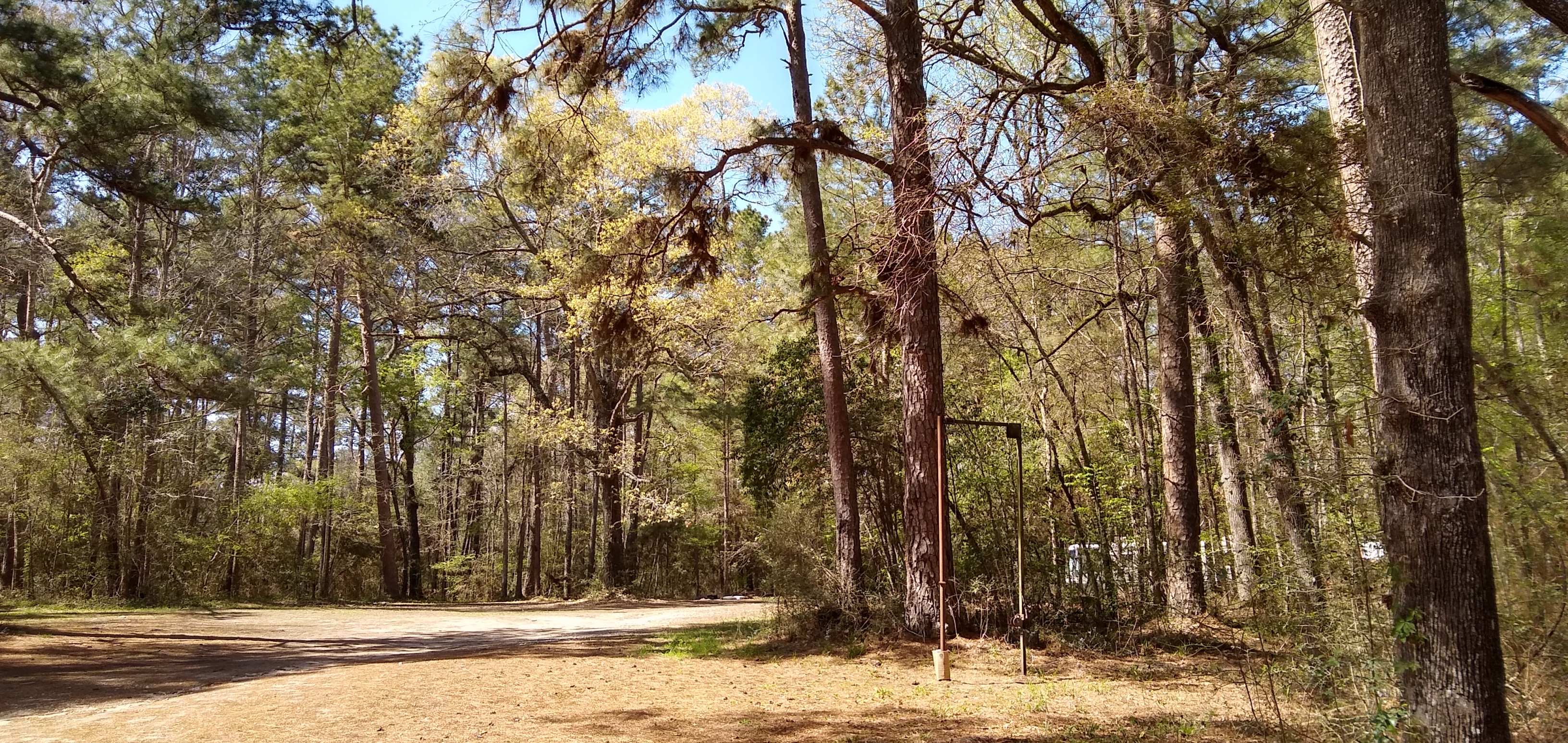 Four Notch Hunter Camp Reviews updated 2026