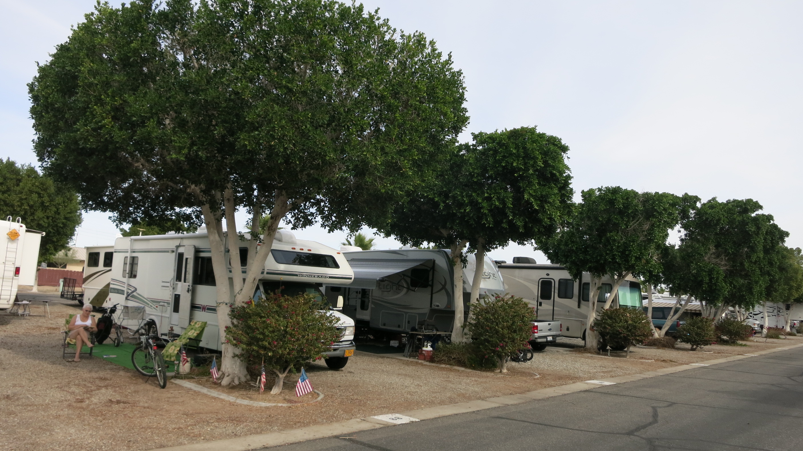 Desert Paradise 55+ RV Resort Reviews