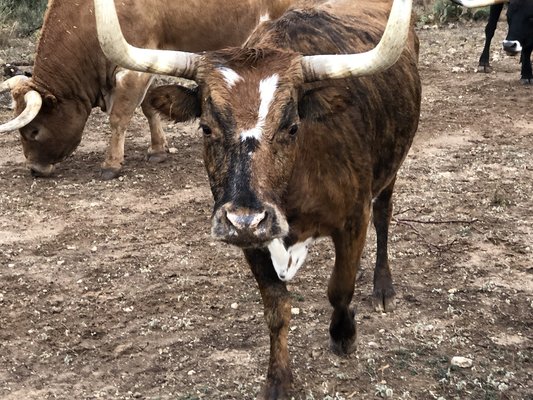 Isabel Hart Campground Reviews updated 2025