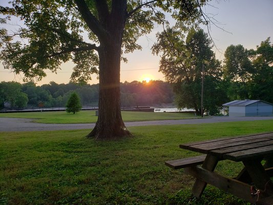 Luke Chute #5 Campground Reviews updated 2025