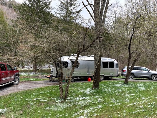 Gandy Creek Dispersed Camping Area Reviews updated 2025