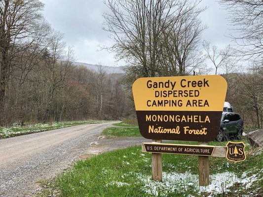 Gandy Creek Dispersed Camping Area Reviews updated 2020