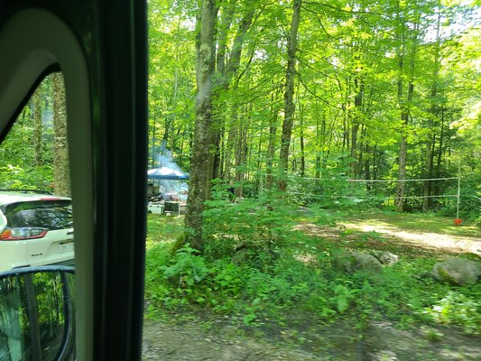 Gandy Creek Dispersed Camping Area Reviews