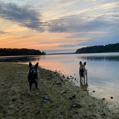 Ginger Bay Camping Area Reviews updated 2021