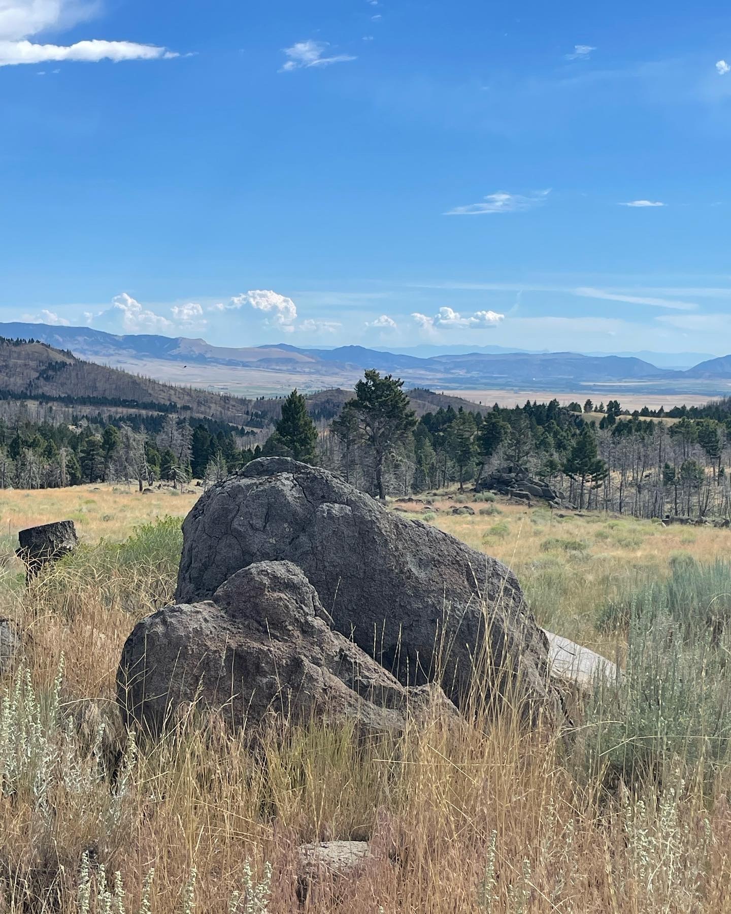 Toll Mountain Campground Reviews updated 2025