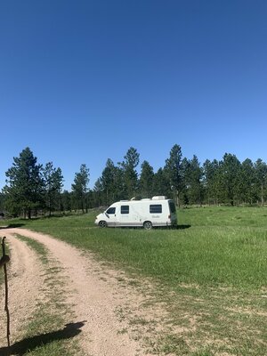 Spar Spring - Custer Airport Dispersed Camping Reviews updated 2025